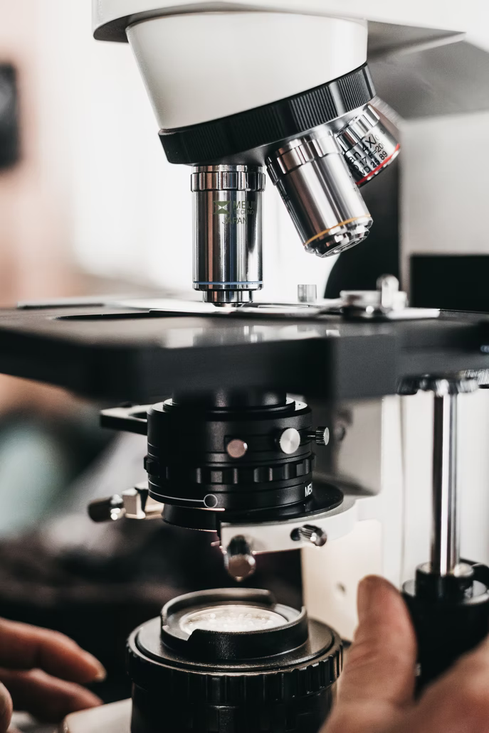 Microscopic examination of activated sludge - Abio